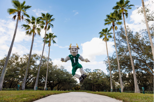 University of South Florida - Powered by Spinzo