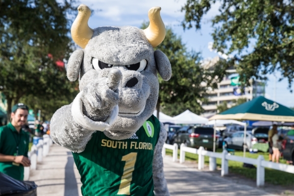 University of South Florida - Powered by Spinzo